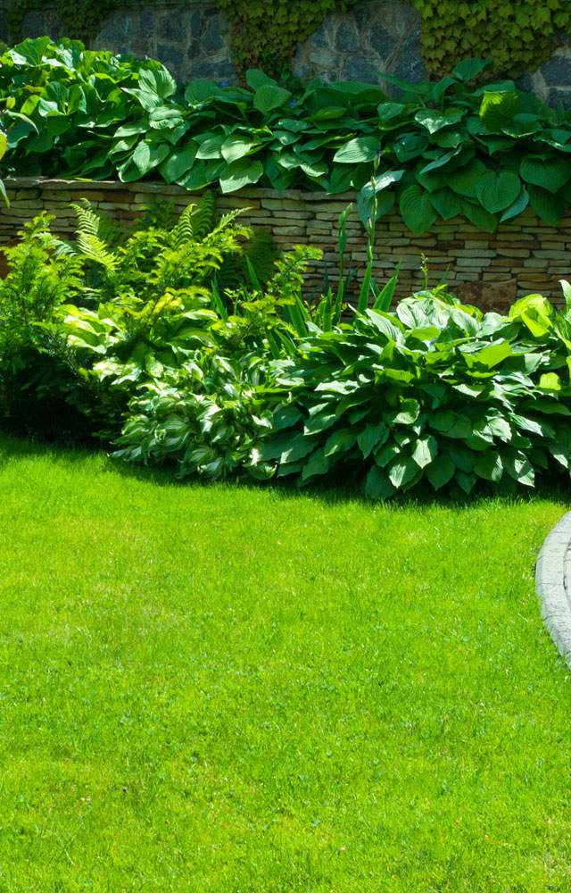 Installer une pelouse après une construction neuve : étapes et conseils ...